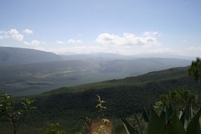 Parque Nacional Sierra de Bahoruco – Eco-Hispaniola
